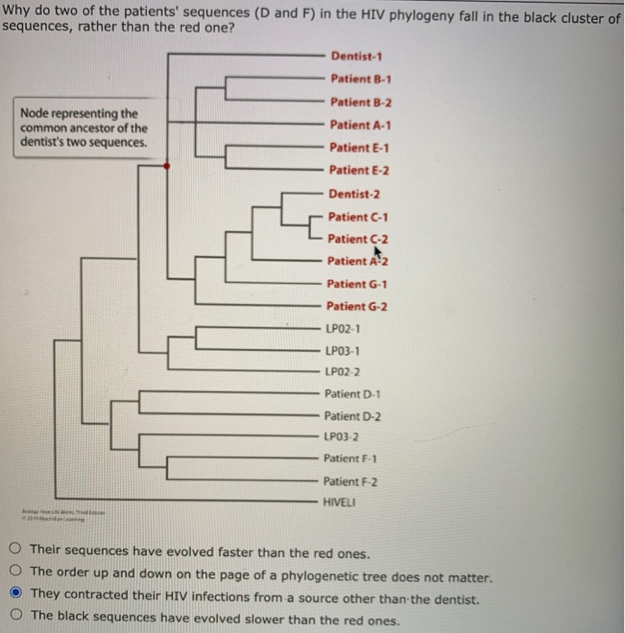 Solved Why is the top part of the HIV phylogeny tree colored | Chegg.com