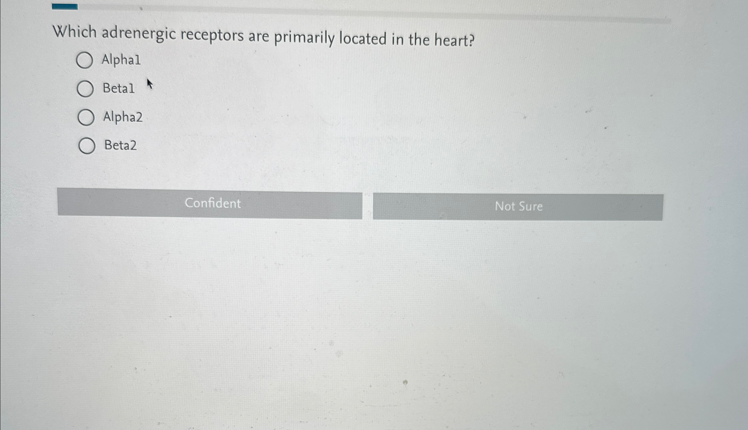 Solved Which adrenergic receptors are primarily located in | Chegg.com