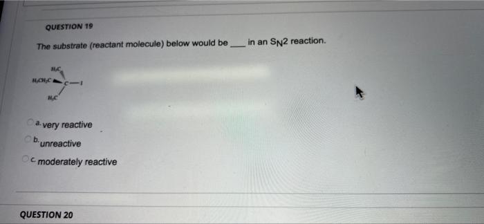 Solved QUESTION 19 The substrate (reactant molecule) below | Chegg.com
