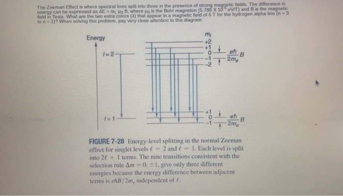 Solved The Zeeman Effect is where spectral lines split into | Chegg.com
