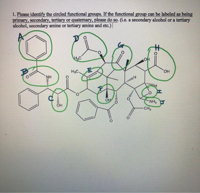 Solved 1. Please identify the circled functional groups. If | Chegg.com