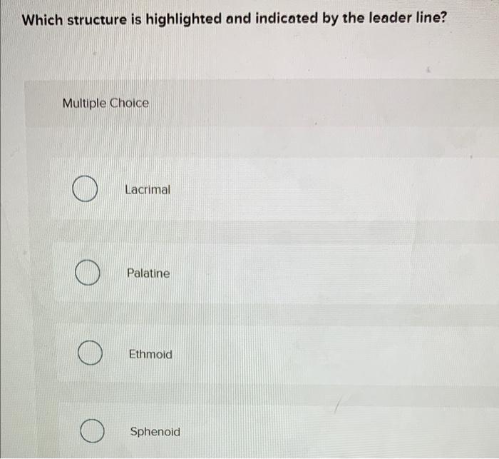 Solved 10 12 9-8 Which structure is highlighted and | Chegg.com