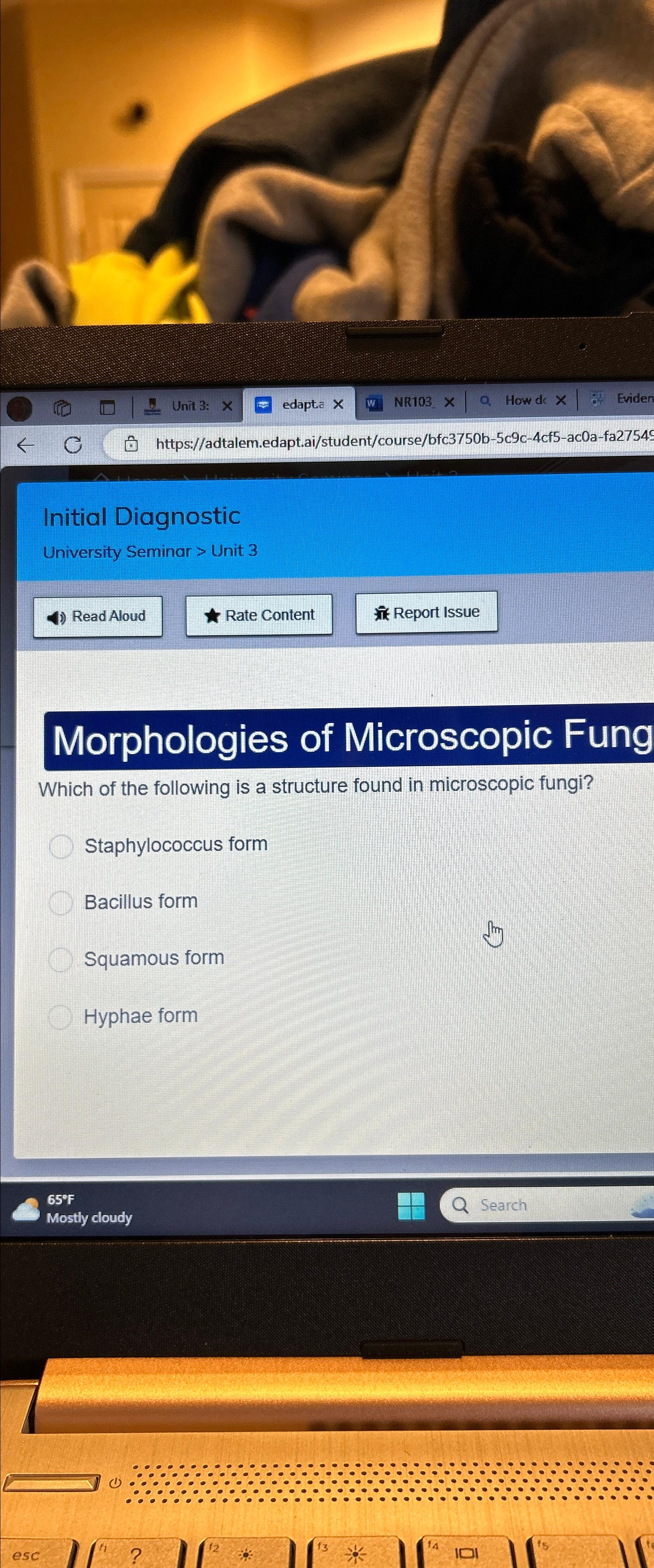 Solved Initial DiagnosticUniversity Seminar > ﻿Unit | Chegg.com