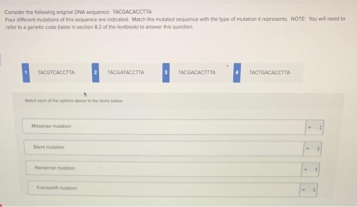 Solved Consider the following original DNA sequence: | Chegg.com