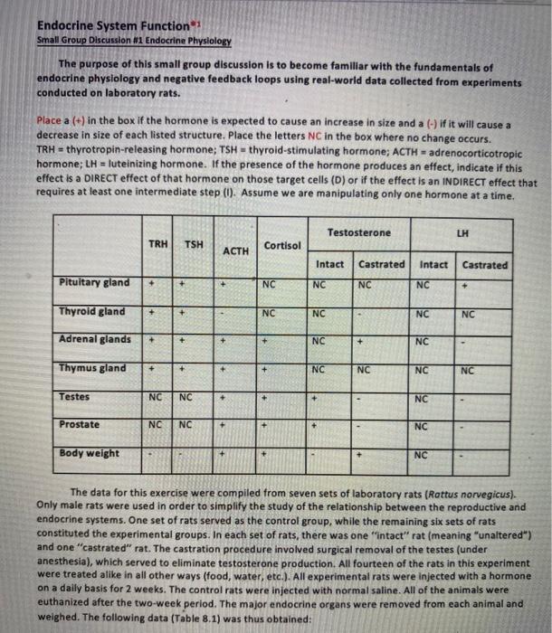 Solved Endocrine System Function Small Group Discussion #1 | Chegg.com
