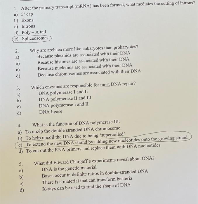 Solved 1. After the primary transcript (mRNA) has been | Chegg.com