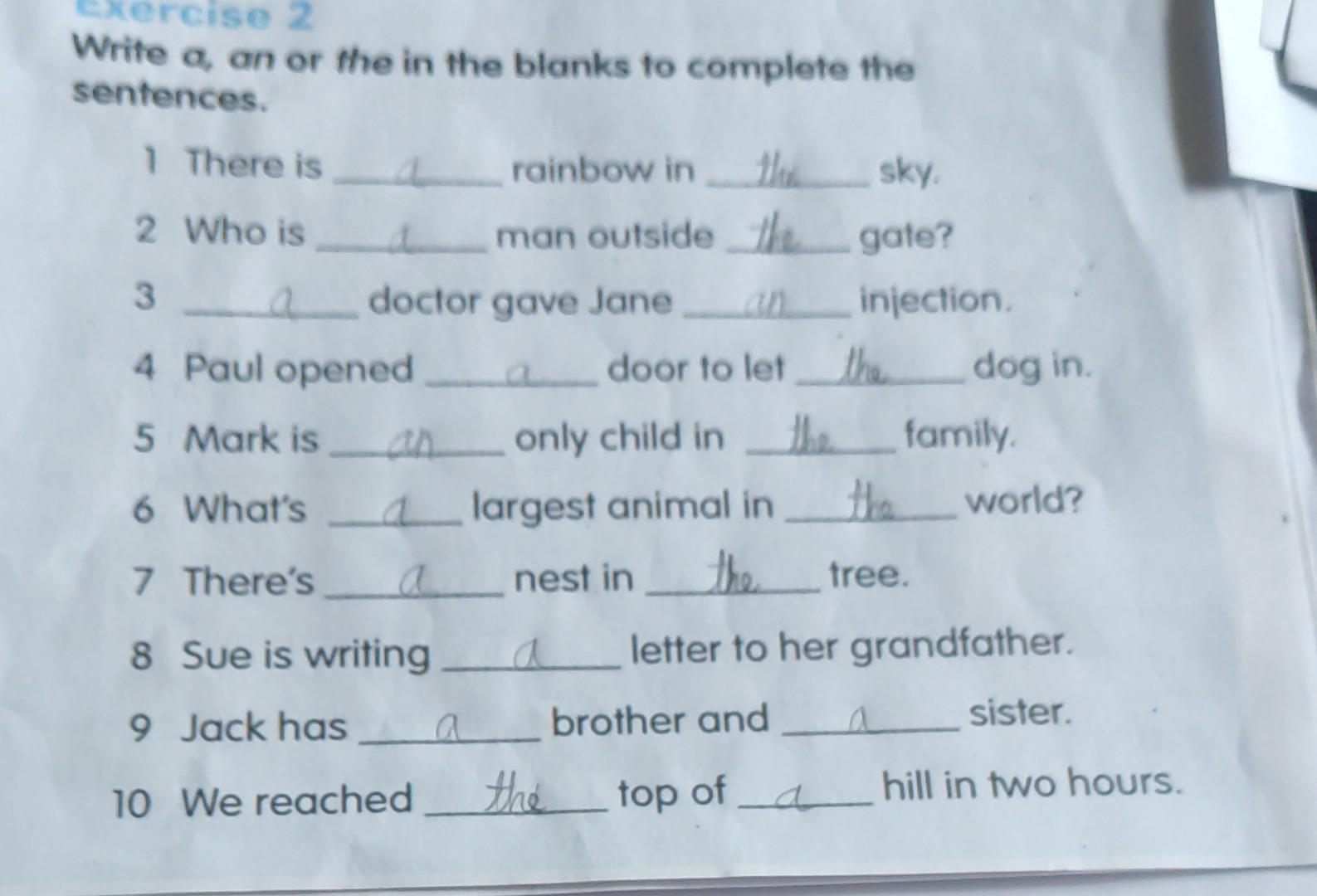 Solved vire a an or the in the blanks to complete the | Chegg.com