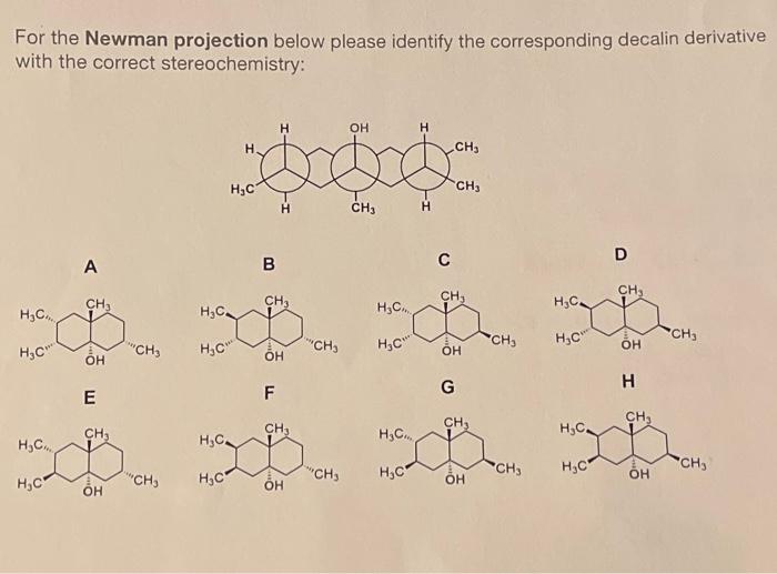 Solved For the Newman projection below please identify the | Chegg.com