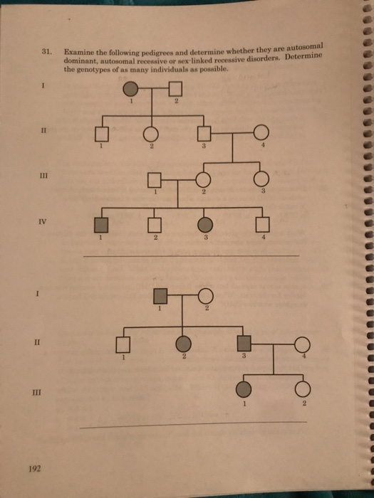 Solved autosomal Examine the following pedigrees and | Chegg.com Solved autosomal Examine the following pedigrees and | Chegg.com