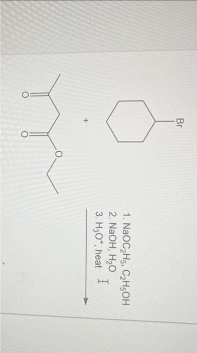 Solved 1. NaOC2H5,C2H5OH 2. NaOH,H2O 3. H3O+, heat | Chegg.com