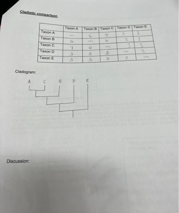 Solved 1. Please CHECK if the answers in the table matrix, | Chegg.com