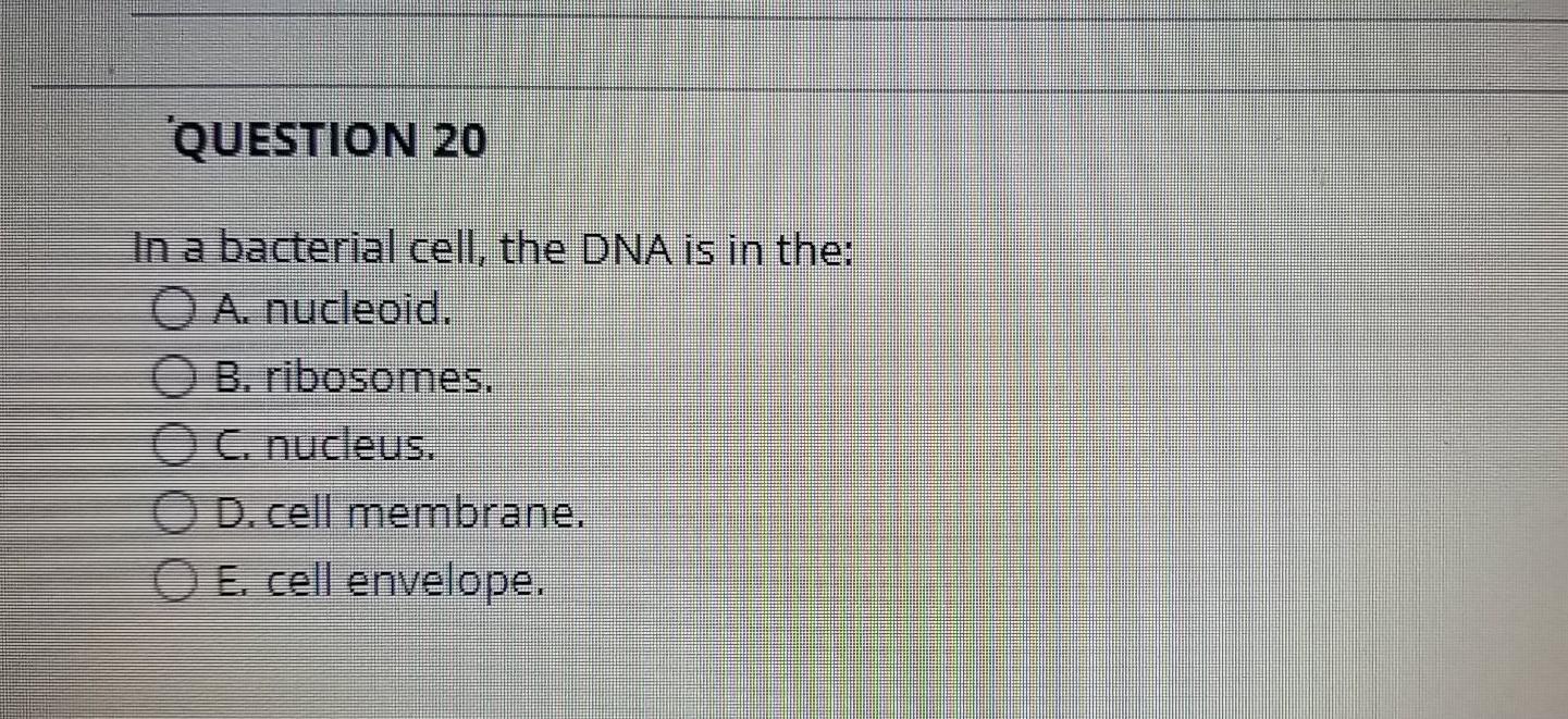 Solved QUESTION 19 Using the Ramachandran plot below, | Chegg.com