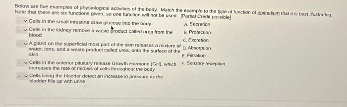 Solved Below are five examples of physiological activities | Chegg.com