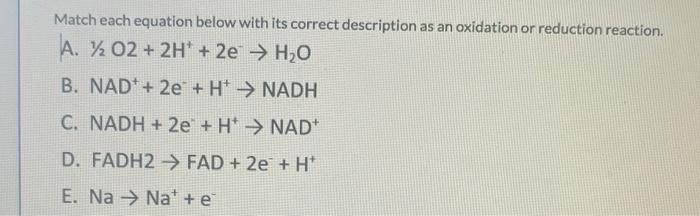 Solved Match each equation below with its correct | Chegg.com