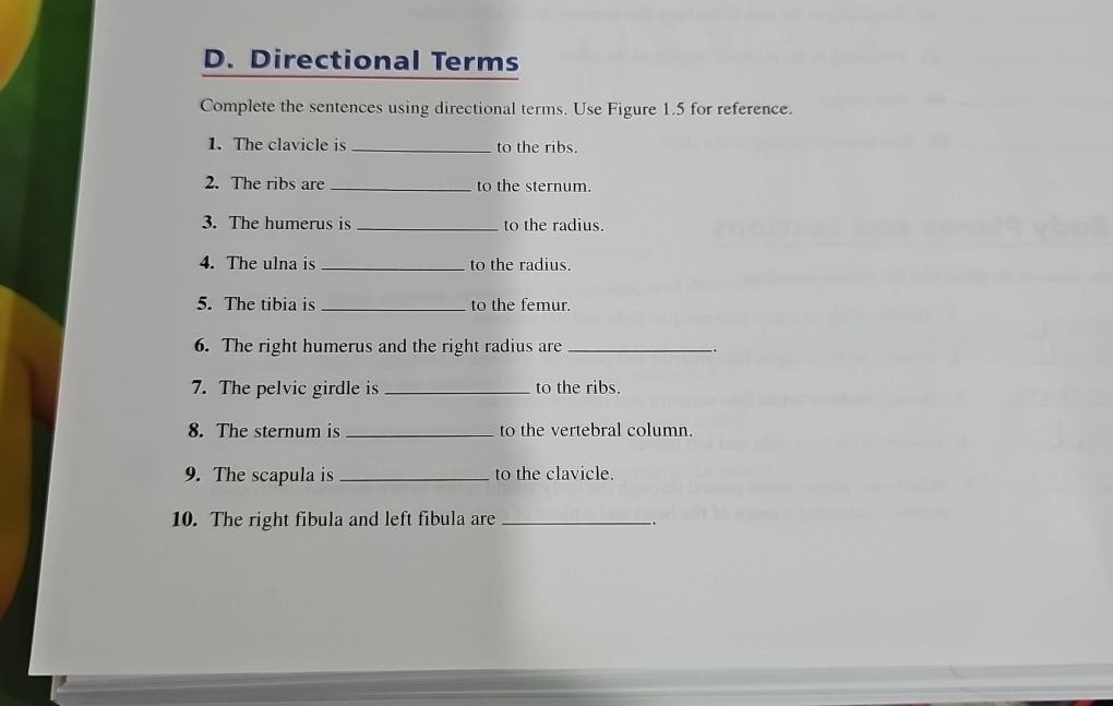 Solved D. ﻿Directional TermsComplete the sentences using | Chegg.com