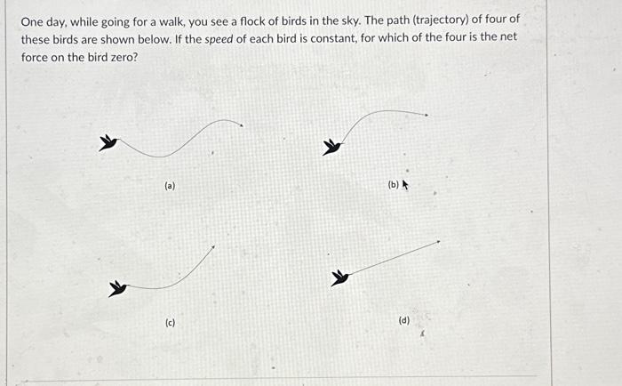 Solved One day, while going for a walk, you see a flock of | Chegg.com