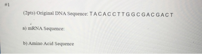 Solved - #3 (5points) Mutated DNA Sequence #2: | Chegg.com