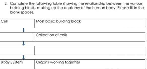 Solved Complete the following table showing the relationship | Chegg.com