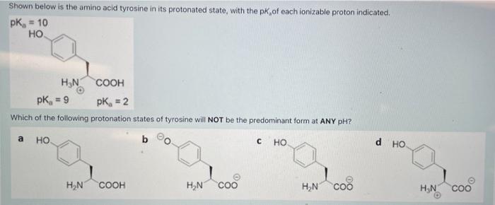 Solved Shown below is the amino acid tyrosine in its | Chegg.com