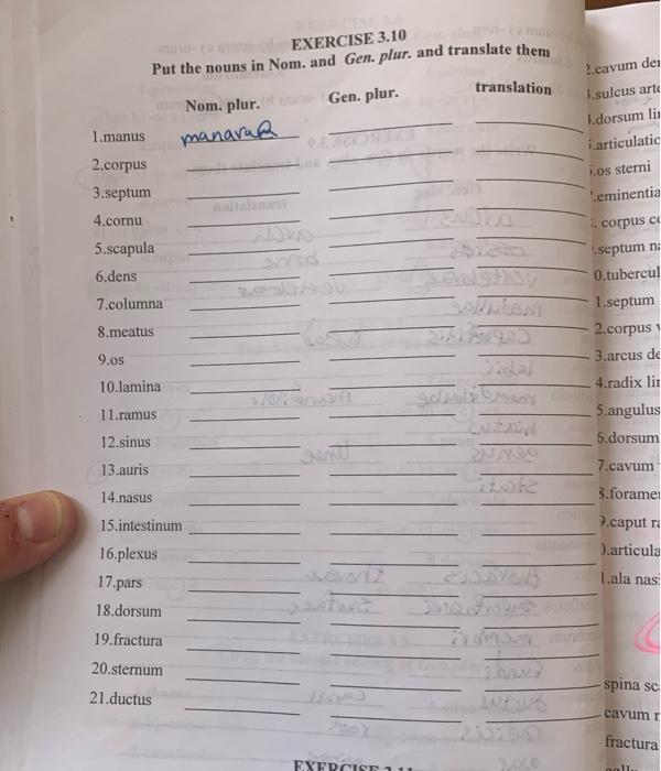 orum EXERCISE 3.9 Write the words in Gen. sing. and | Chegg.com