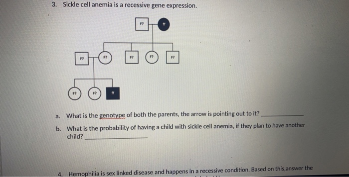Solved 3. Sickle cell anemia is a recessive gene expression. | Chegg.com