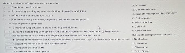 Solved Match the structure/organelle with its function | Chegg.com