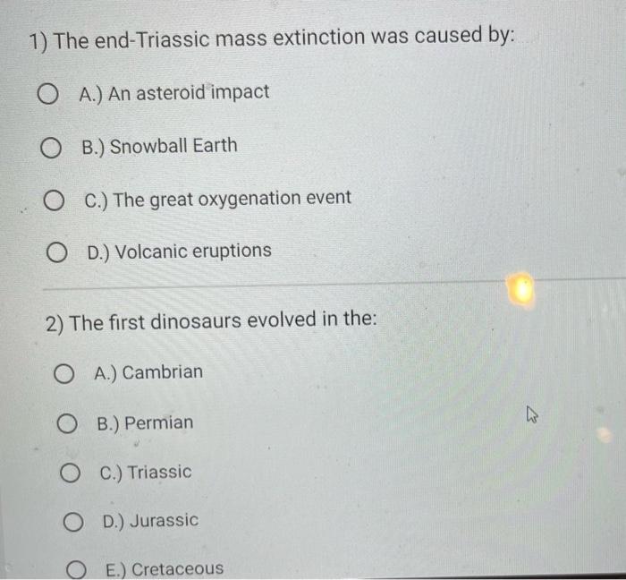 The end-Triassic mass extinction was caused by: A.) | Chegg.com