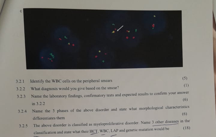 C3.2.1 ﻿Identify the WBC cells on the peripheral | Chegg.com