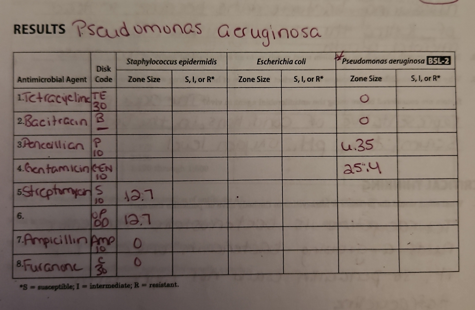 Solved REsults Psaudumonas aeruginosa*S = ﻿susceptible; I= | Chegg.com
