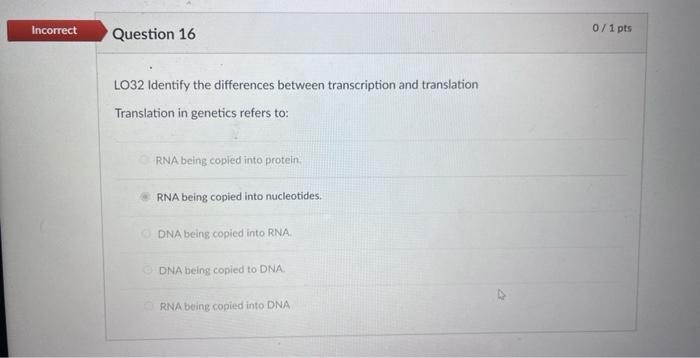 Solved 032 Identify the differences between transcription | Chegg.com