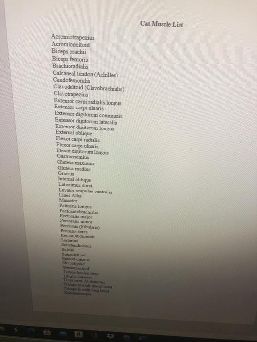 Solved Cat Muscle List Acromiotrapezius Acromiodeltoid | Chegg.com