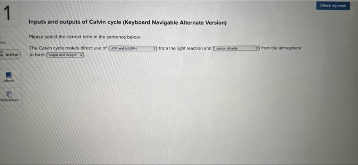 Solved Check my werk 1 Inputs and outputs of Calvin cycle | Chegg.com