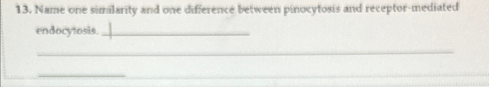 Solved Name one sitrilarity and one difference between | Chegg.com