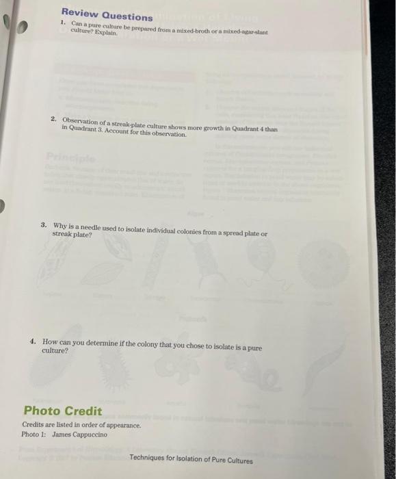 Solved Observations and Results PART A: Isolation of | Chegg.com