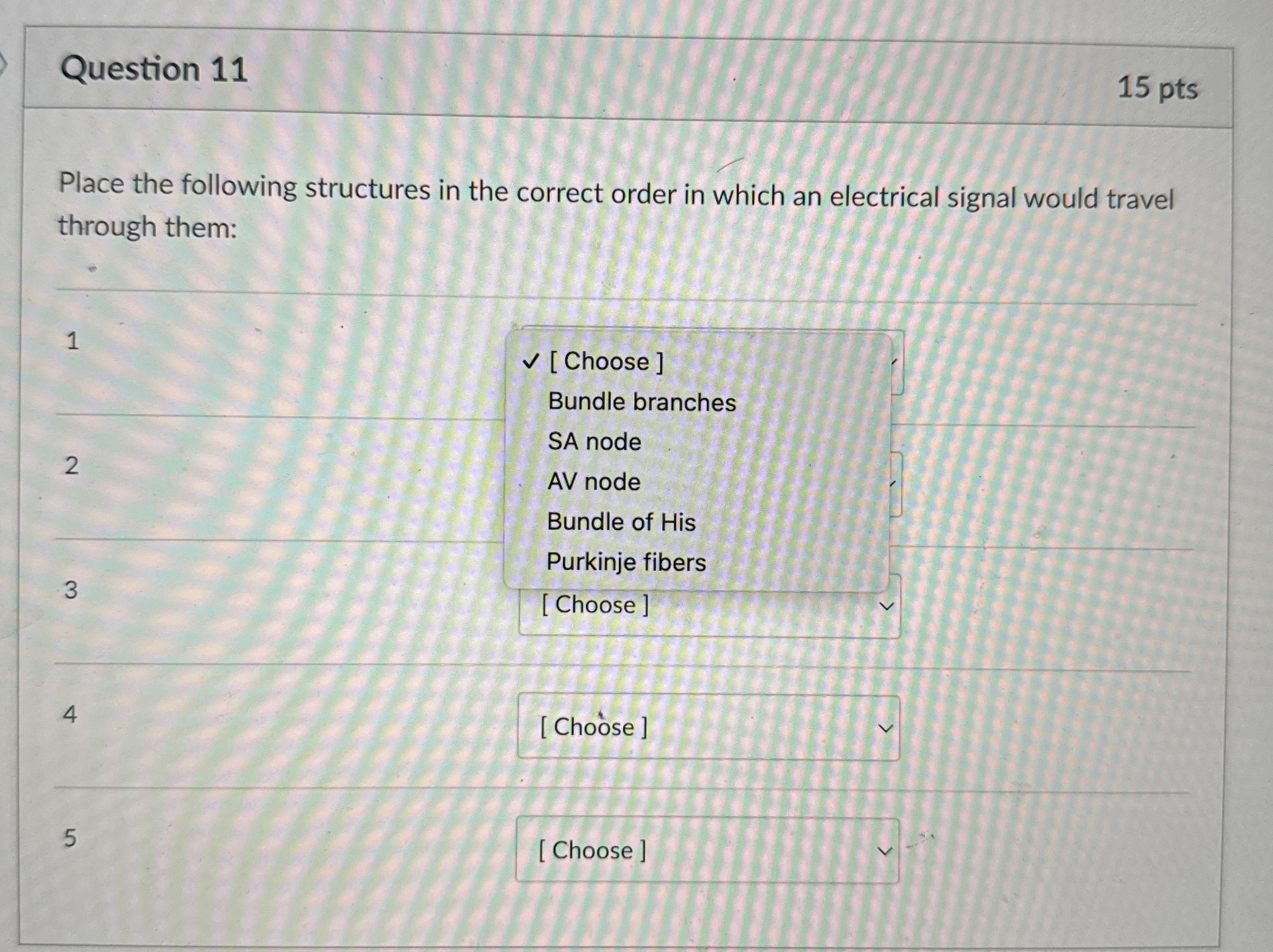 Solved Question 1115 ﻿ptsPlace the following structures in | Chegg.com