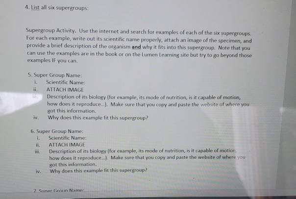 Solved 4. List all six supergroups: Supergroup Activity. Use | Chegg.com