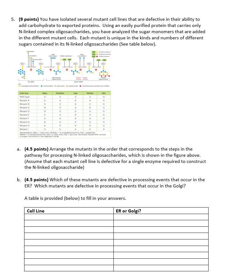 Solved 5. (9 ﻿points) ﻿You have isolated several mutant cell | Chegg.com
