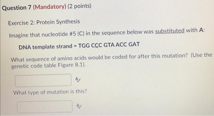 Solved Exercise 2: Protein Synthesis Imagine that nucleotide | Chegg.com