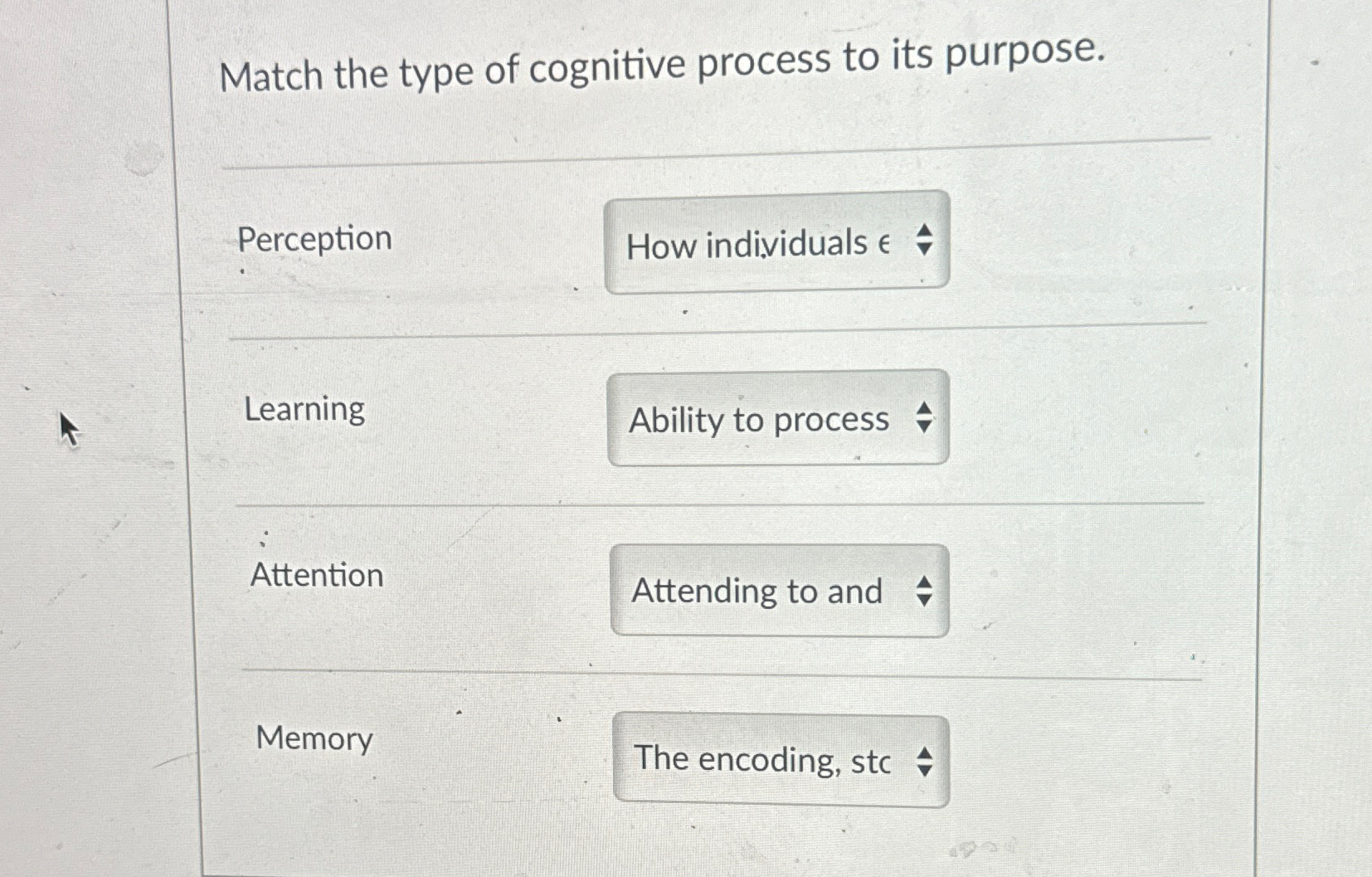 Solved Match the type of cognitive process to its | Chegg.com