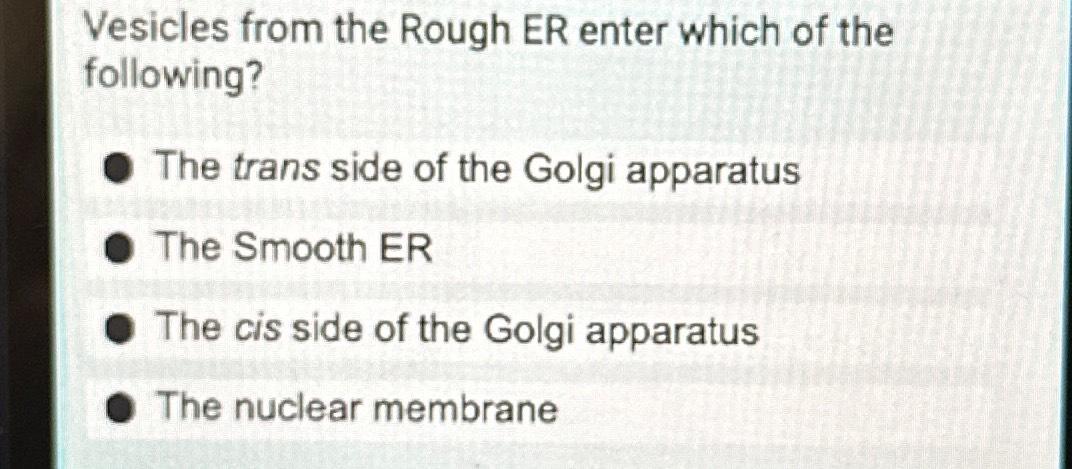 Solved Vesicles from the Rough ER enter which of the | Chegg.com