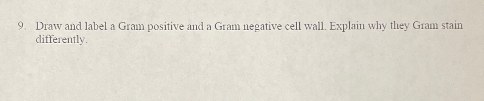 Solved Draw and label a Gram positive and a Gram negative | Chegg.com