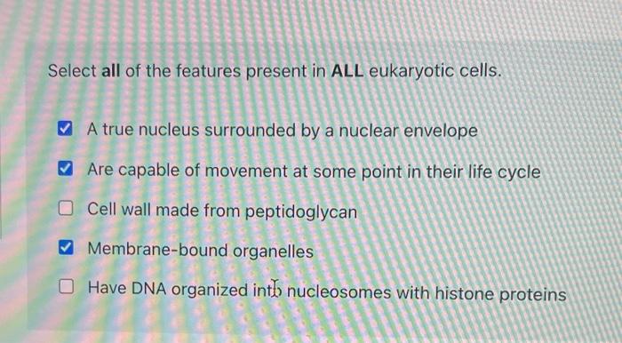 Select all of the features present in ALL eukaryotic | Chegg.com