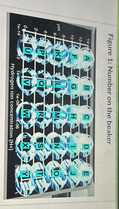 MATCHING. Match the following beakers (Figure 1: | Chegg.com