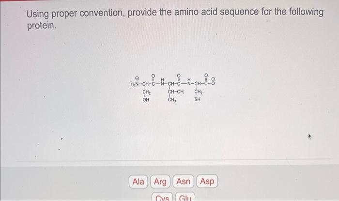 Solved Using proper convention, provide the amino acid | Chegg.com