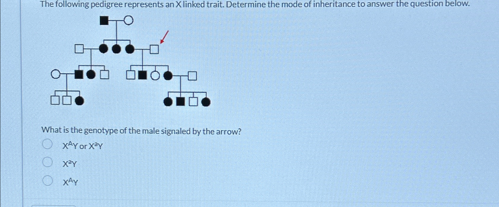 Solved The following pedigree represents an X linked trait. | Chegg.com