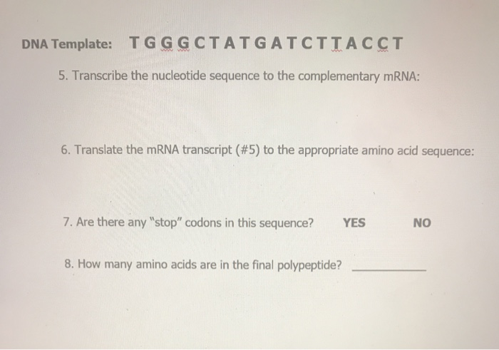 Solved DNA Template: TGGGCTATGATCTIACCT 5. Transcribe the | Chegg.com Solved DNA Template: TGGGCTATGATCTIACCT 5. Transcribe the | Chegg.com
