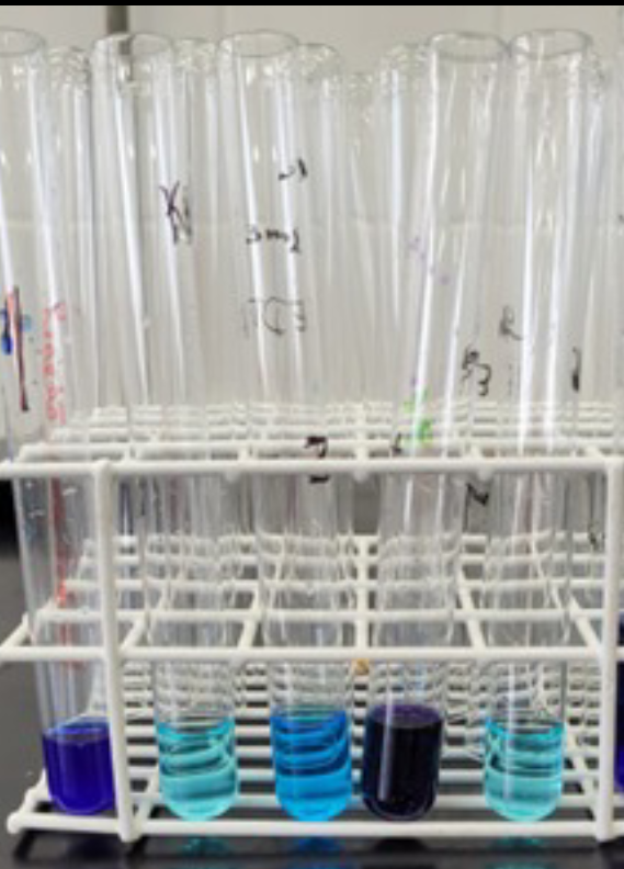 Solved Draw the structures of ligands and complexes [Cu(NH3 | Chegg.com