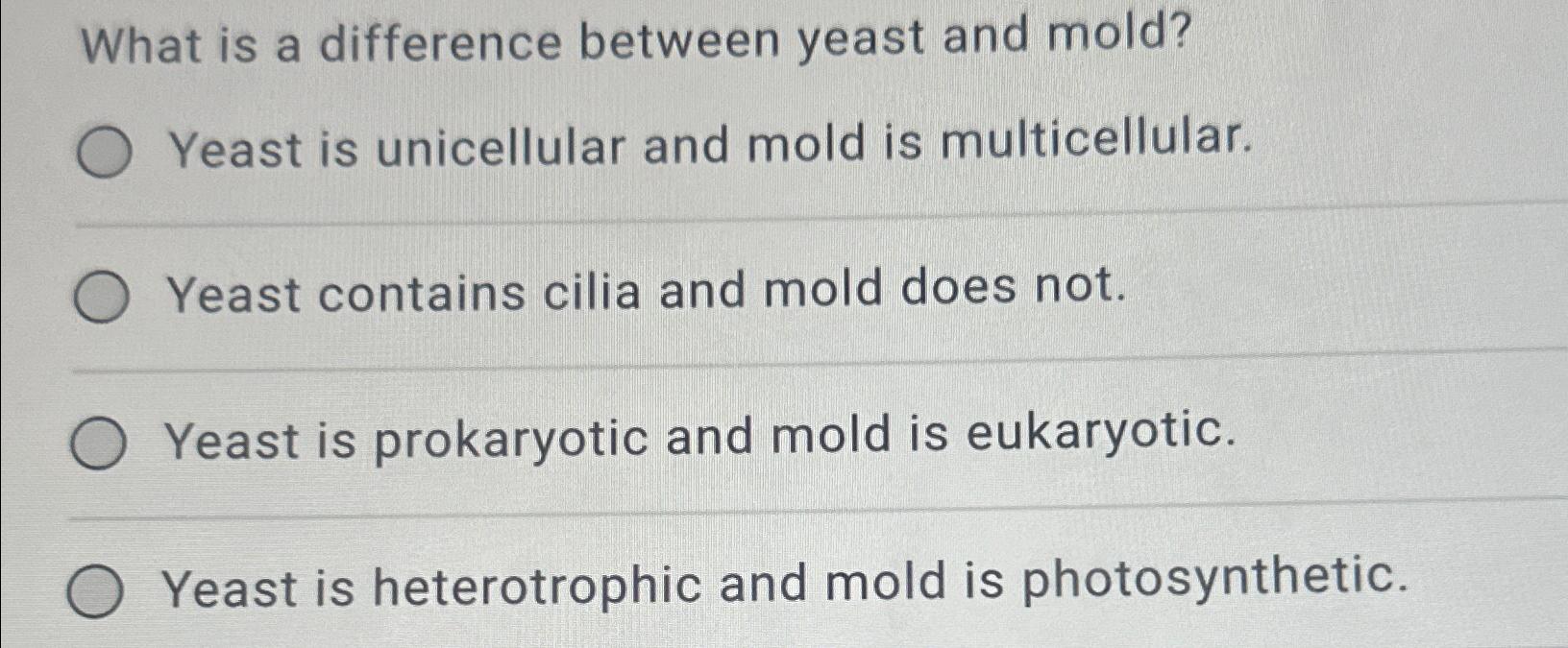 Solved What is a difference between yeast and mold?Yeast is | Chegg.com