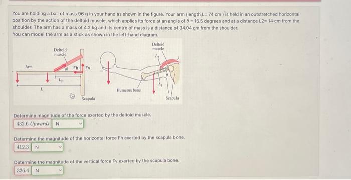 Solved You are holding a ball of mass 96 g in your hand as | Chegg.com