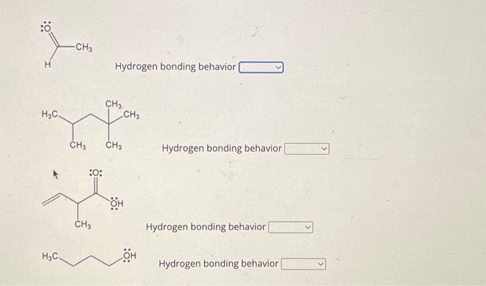 Solved Hydrogen bonding behavior Hydrogen bonding behavior | Chegg.com